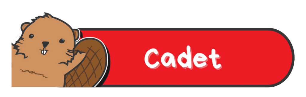 Beaver Computational Thinking Competition Malaysia