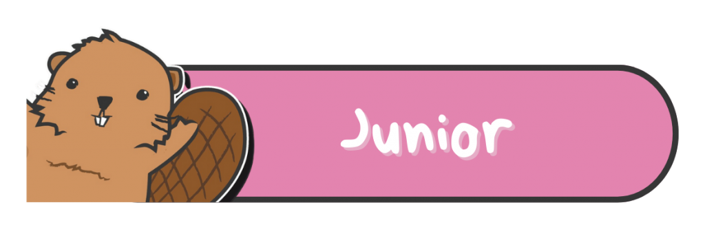 Beaver Computational Thinking Competition Malaysia