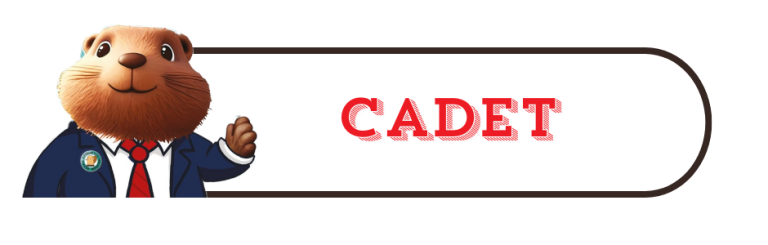 Beaver Computational Thinking Competition Malaysia